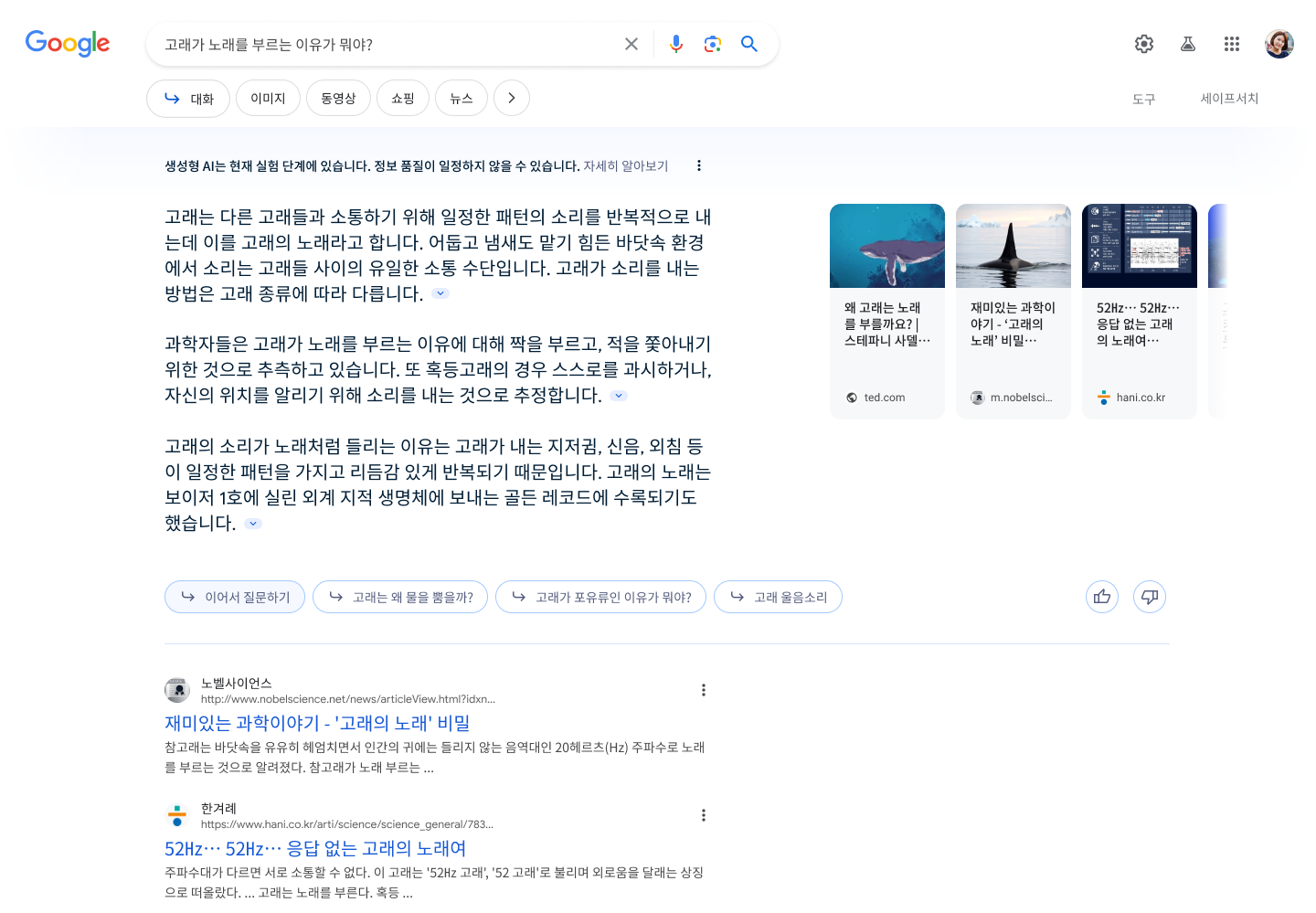 구글, '생성 AI 검색' 한국어 출시 - 와우테일